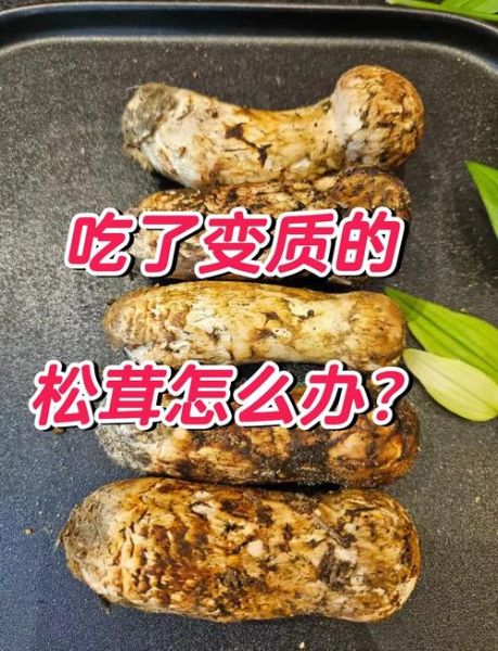 松茸变质什么样子_如何辨别还能不能吃-第2张图片-山城妙识 松茸变质什么样子_如何辨别还能不能吃-第2张图片-山城妙识
