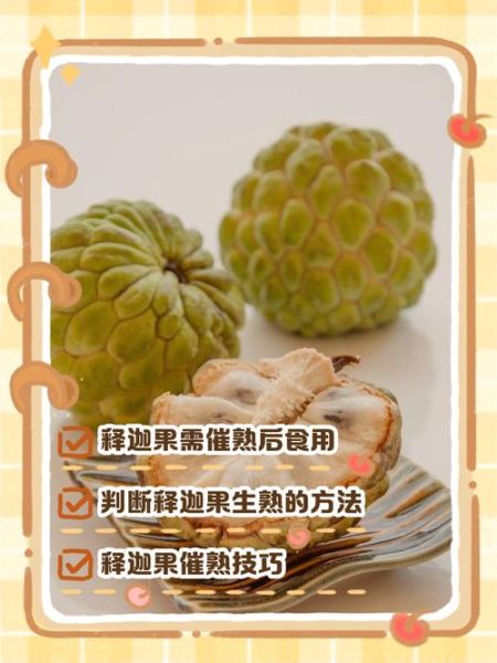 释迦果硬的能吃吗_如何催熟释迦果-第1张图片-山城妙识 释迦果硬的能吃吗_如何催熟释迦果-第1张图片-山城妙识