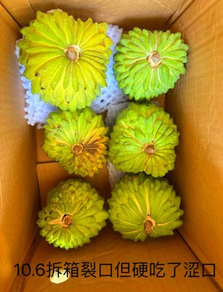 释迦果硬的能吃吗_如何催熟释迦果-第3张图片-山城妙识 释迦果硬的能吃吗_如何催熟释迦果-第3张图片-山城妙识