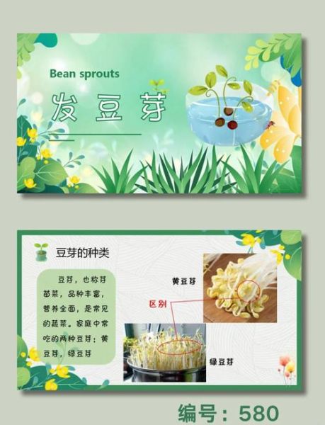 生黄豆芽怎么发_生黄豆芽图片步骤-第2张图片-山城妙识 生黄豆芽怎么发_生黄豆芽图片步骤-第2张图片-山城妙识