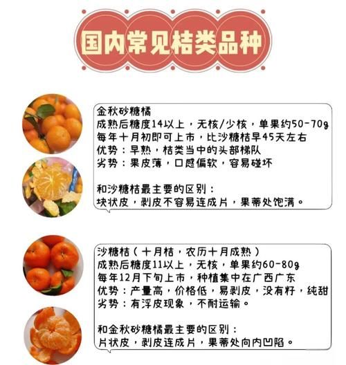 橘子怎么挑选_橘子保存多久-第1张图片-山城妙识