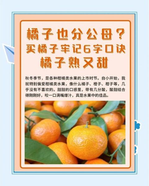 橘子怎么挑选_橘子保存多久-第2张图片-山城妙识