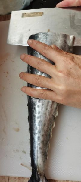 鲅鱼水饺怎么调馅不腥_正宗鲅鱼水饺做法步骤-第3张图片-山城妙识