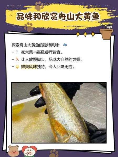 舟山野生大黄鱼多少钱一斤_如何辨别真假-第2张图片-山城妙识