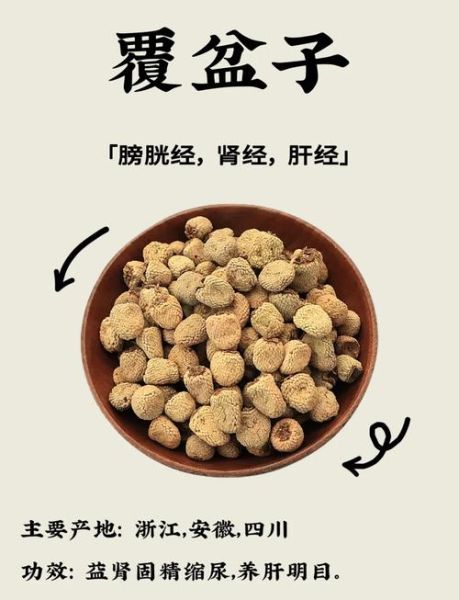 小覆盆子和大覆盆子的区别_哪个更好吃-第1张图片-山城妙识 小覆盆子和大覆盆子的区别_哪个更好吃-第1张图片-山城妙识