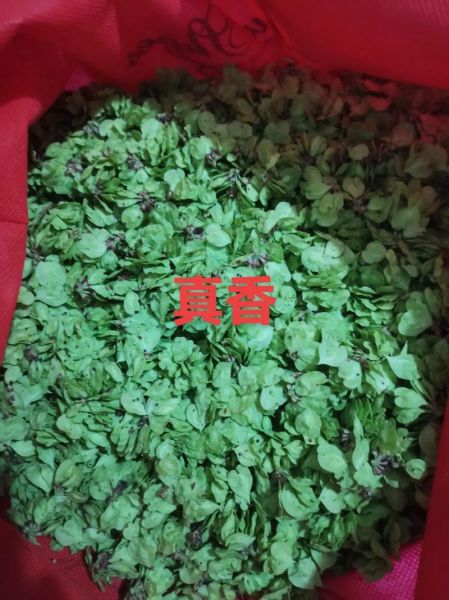 蒸野菜的做法_蒸野菜怎么做好吃-第3张图片-山城妙识 蒸野菜的做法_蒸野菜怎么做好吃-第3张图片-山城妙识