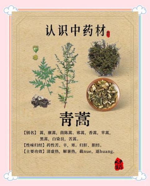 青蒿的功效与作用有哪些_青蒿主治什么病-第2张图片-山城妙识 青蒿的功效与作用有哪些_青蒿主治什么病-第2张图片-山城妙识