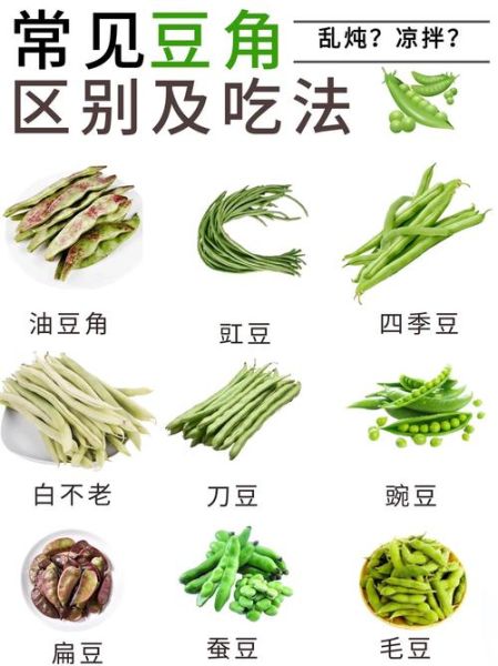 又扁又薄的豆角叫什么_扁豆角和四季豆区别-第1张图片-山城妙识 又扁又薄的豆角叫什么_扁豆角和四季豆区别-第1张图片-山城妙识