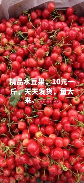 豆果果怎么加盟_豆果果加盟费多少钱-第1张图片-山城妙识