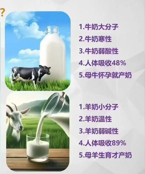 羊奶粉上火还是牛奶粉上火_哪个更容易让宝宝便秘-第3张图片-山城妙识 羊奶粉上火还是牛奶粉上火_哪个更容易让宝宝便秘-第3张图片-山城妙识