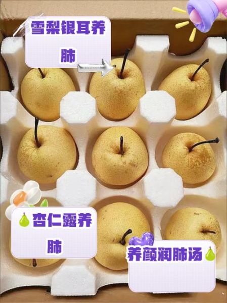 哪种梨止咳化痰润肺效果好_雪梨和鸭梨哪个更管用-第2张图片-山城妙识 哪种梨止咳化痰润肺效果好_雪梨和鸭梨哪个更管用-第2张图片-山城妙识