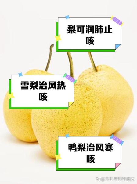 哪种梨止咳化痰润肺效果好_雪梨和鸭梨哪个更管用-第1张图片-山城妙识 哪种梨止咳化痰润肺效果好_雪梨和鸭梨哪个更管用-第1张图片-山城妙识