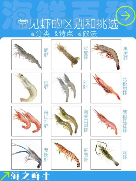 虾种类图片大全和名字_如何区分常见食用虾-第2张图片-山城妙识