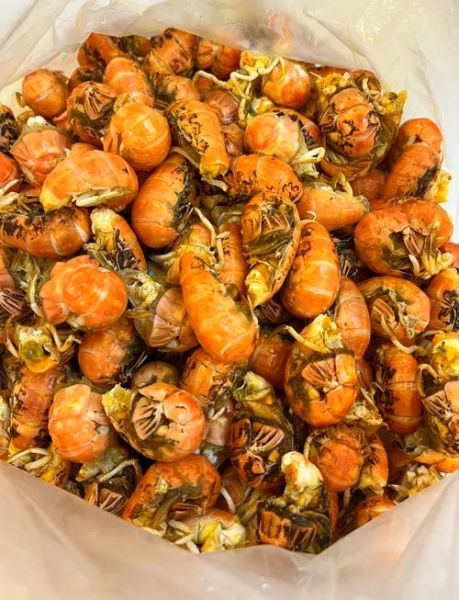 蝼蛄虾能吃吗_蝼蛄虾怎么吃才安全-第1张图片-山城妙识 蝼蛄虾能吃吗_蝼蛄虾怎么吃才安全-第1张图片-山城妙识