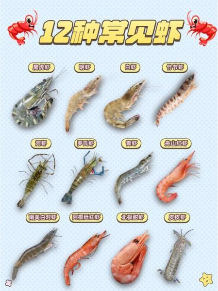 虾种类图片大全和名字_如何区分常见食用虾-第1张图片-山城妙识