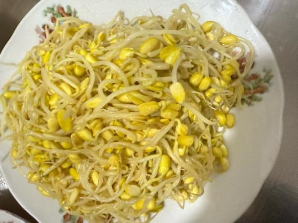 自发黄豆芽怎么做_黄豆芽失败原因-第1张图片-山城妙识