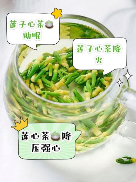 莲子心茶什么人不能喝_莲子心茶禁忌人群-第1张图片-山城妙识