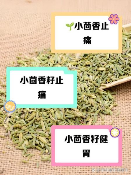 茴香籽的功效与作用禁忌_孕妇能吃吗-第2张图片-山城妙识 茴香籽的功效与作用禁忌_孕妇能吃吗-第2张图片-山城妙识