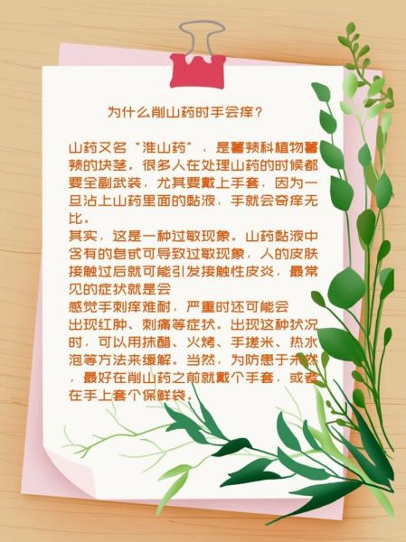 铁棍山药弄到手上很痒怎么办_止痒最快的小妙招-第3张图片-山城妙识 铁棍山药弄到手上很痒怎么办_止痒最快的小妙招-第3张图片-山城妙识