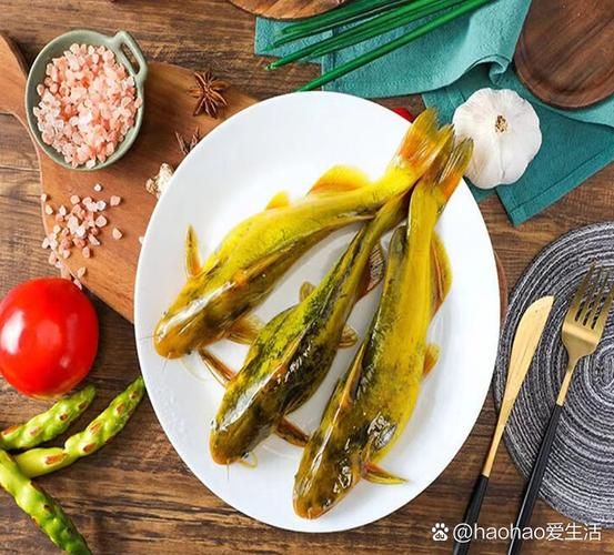 黄辣丁是什么鱼_黄辣丁和鲶鱼的区别-第1张图片-山城妙识 黄辣丁是什么鱼_黄辣丁和鲶鱼的区别-第1张图片-山城妙识