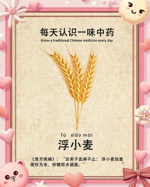 浮小麦的功效与作用及禁忌_浮小麦怎么吃才正确-第2张图片-山城妙识