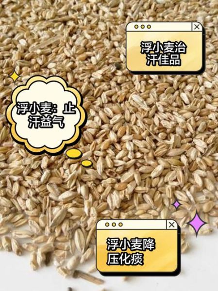 浮小麦的功效与作用及禁忌_浮小麦怎么吃才正确-第1张图片-山城妙识