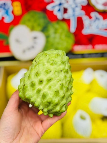 台湾凤梨现在怎么样了_还能出口吗-第2张图片-山城妙识