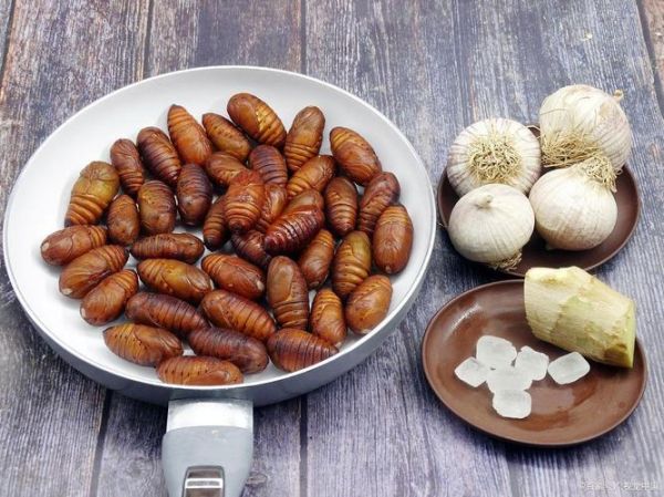 蚕蛹煮多久可以吃_蚕蛹煮多长时间最安全-第1张图片-山城妙识