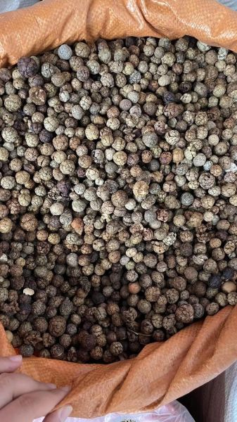 草蔻在卤水中的作用_草蔻与肉豆蔻区别-第3张图片-山城妙识