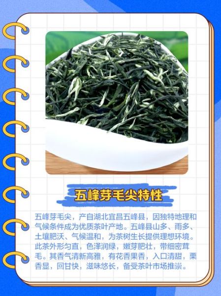 五峰毛尖的功效与作用_五峰毛尖适合什么人喝-第1张图片-山城妙识 五峰毛尖的功效与作用_五峰毛尖适合什么人喝-第1张图片-山城妙识
