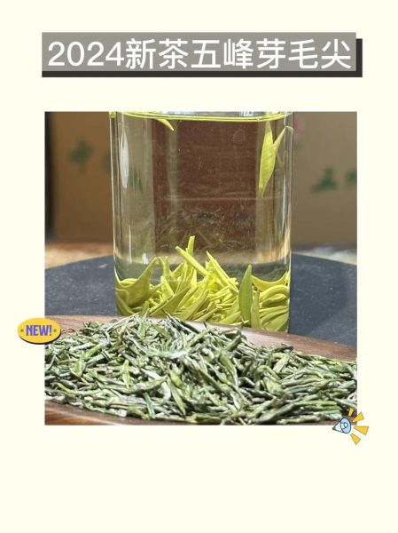 五峰毛尖的功效与作用_五峰毛尖适合什么人喝-第2张图片-山城妙识 五峰毛尖的功效与作用_五峰毛尖适合什么人喝-第2张图片-山城妙识