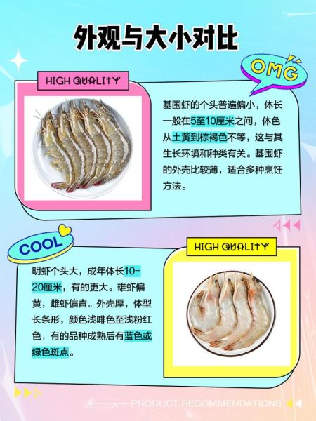 明虾是海虾吗_明虾和基围虾的区别-第1张图片-山城妙识 明虾是海虾吗_明虾和基围虾的区别-第1张图片-山城妙识