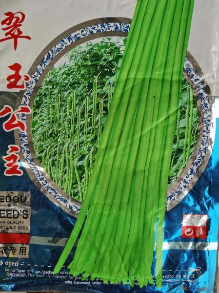 豇豆品种图片大全_常见豇豆品种有哪些-第1张图片-山城妙识 豇豆品种图片大全_常见豇豆品种有哪些-第1张图片-山城妙识