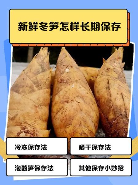 冬笋怎么保存_冬笋焯水多久才脆-第2张图片-山城妙识