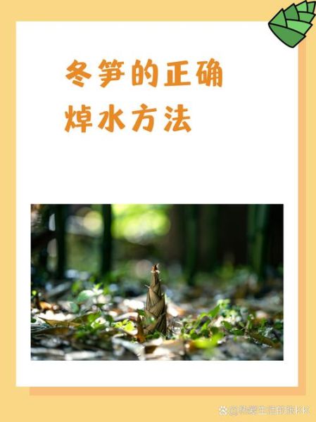 冬笋怎么保存_冬笋焯水多久才脆-第1张图片-山城妙识