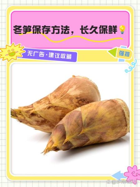冬笋怎么保存_冬笋焯水多久才脆-第3张图片-山城妙识