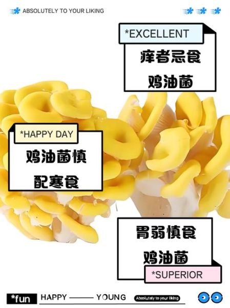 鸡油菌不能和什么一起吃_哪些人不能吃鸡油菌-第1张图片-山城妙识