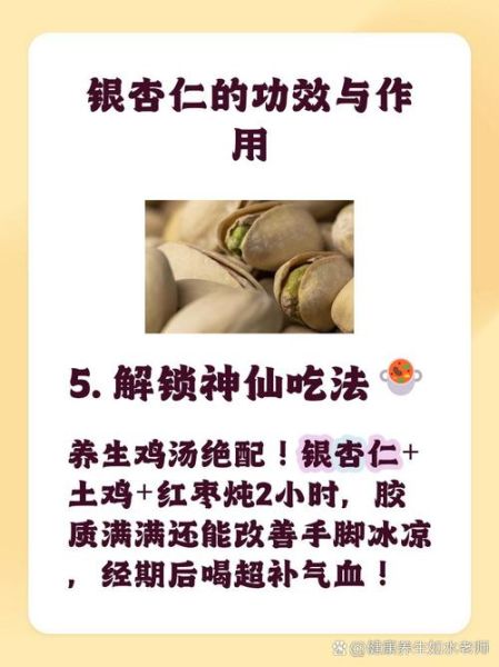 银杏仁怎么吃_银杏仁的正确吃法-第1张图片-山城妙识