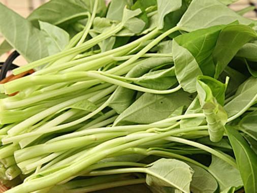 蕹菜是空心菜吗_蕹菜和空心菜的区别-第2张图片-山城妙识