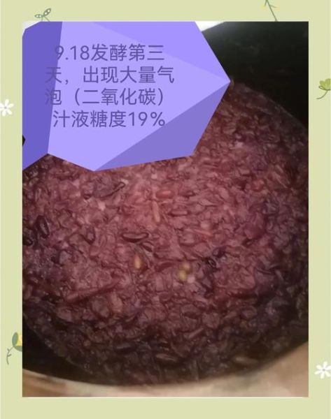 在家酿葡萄酒详细步骤_自制葡萄酒常见问题-第3张图片-山城妙识