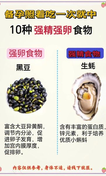 补卵吃什么最好_备孕女性必看-第3张图片-山城妙识