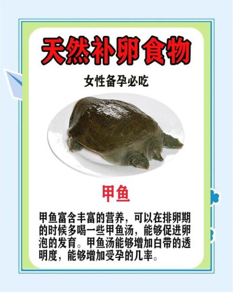 补卵吃什么最好_备孕女性必看-第2张图片-山城妙识