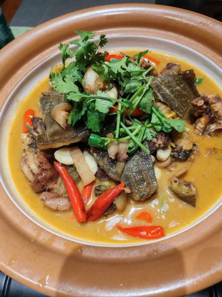 甲鱼的做法有几种_甲鱼怎么做好吃-第2张图片-山城妙识 甲鱼的做法有几种_甲鱼怎么做好吃-第2张图片-山城妙识