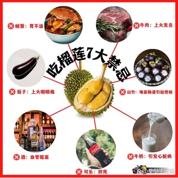 榴莲的功效与作用有哪些_吃榴莲的禁忌是什么-第1张图片-山城妙识