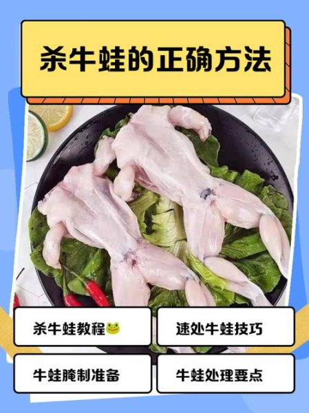 牛蛙怎么杀_牛蛙宰杀步骤-第1张图片-山城妙识