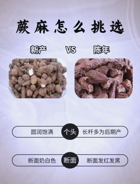 蕨麻的功效与作用吃法_蕨麻怎么吃效果最好-第2张图片-山城妙识