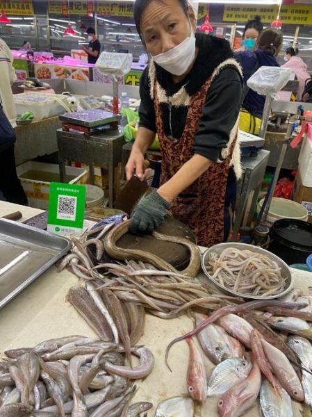 野生海鳗鱼多少钱一斤_怎么挑选最新鲜-第2张图片-山城妙识