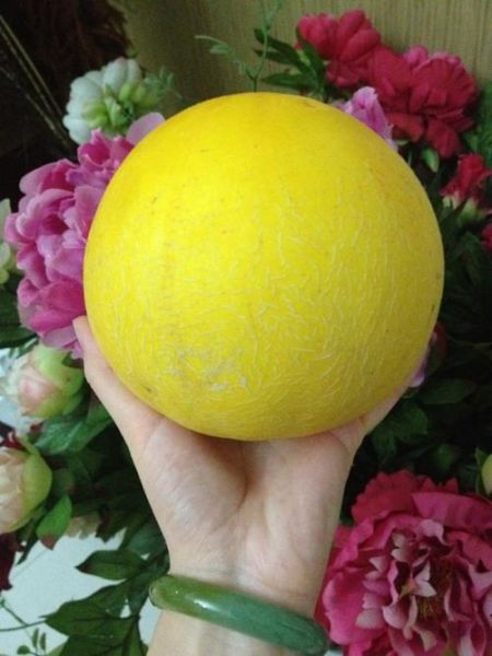 伊丽莎白瓜怎么切_伊丽莎白瓜切法图解-第2张图片-山城妙识