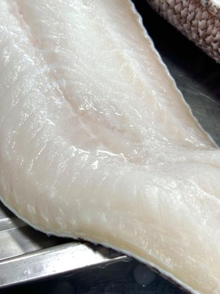 银鳕鱼怎么钓_银鳕鱼钓法技巧-第1张图片-山城妙识