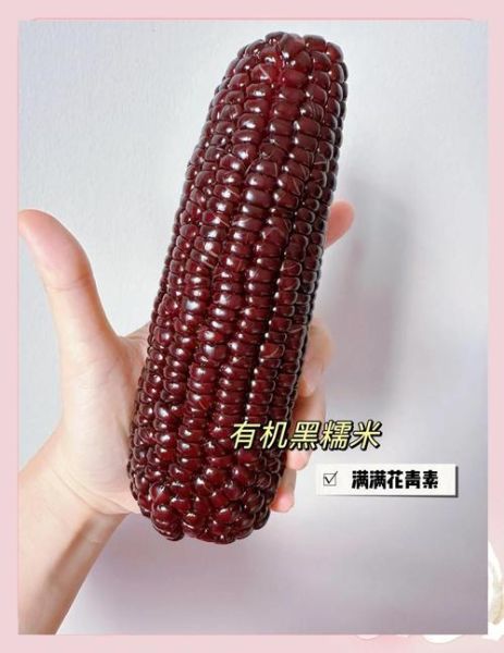 黑玉米的功效与作用_黑玉米的营养价值高吗-第3张图片-山城妙识 黑玉米的功效与作用_黑玉米的营养价值高吗-第3张图片-山城妙识